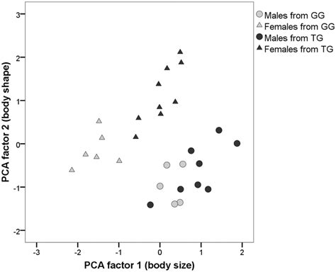 Scatterplot Showing Scores For Pca 1 Body Size And Pca 2 Body Shape