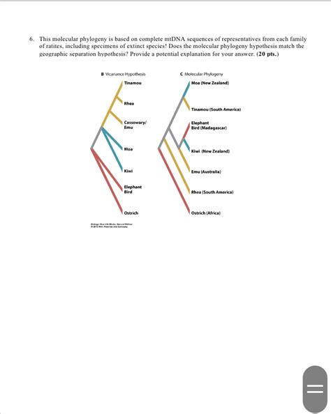 Solved Character Matrix The Following Is A Character Matrix
