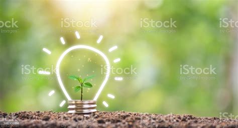 환경 대체 에너지 보호 지속 가능한 재생 가능 에너지 원 녹색 에너지 혁신 및 환경 친화적 인 에너지 기술 램프 홀더 자연 배경의 나무 0명에 대한 스톡 사진 및 기타