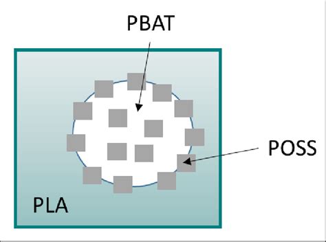 The Location Of The Compatibilizer At The Interface Of Plapbat Blends