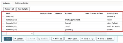 Netsuite Applications Suite Custom Segment Metadata
