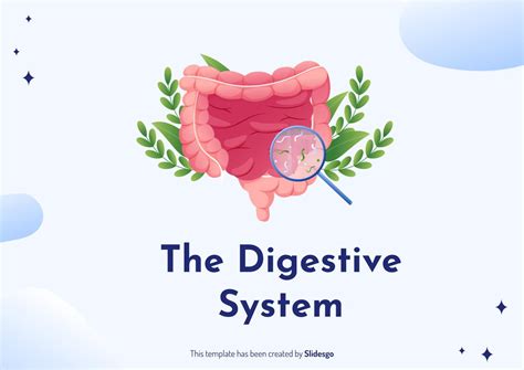 Digestive System For Grade 4 Powerpoint Class 4 Digestive System Key