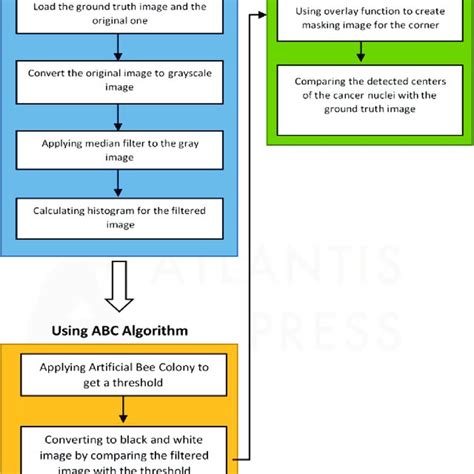 Flowchart Of Artificial Bee Colony Abc Algorithm Download Scientific Diagram