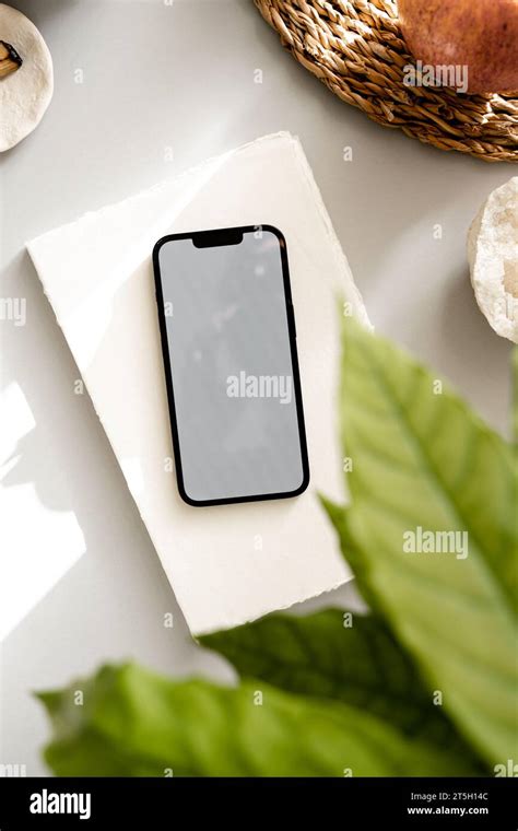 Blank Path Screen Mobile Phone With Mockup Copy Space On Neutral Grey Background With Shadows