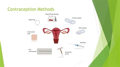 Ppt Sex Education Powerpoint Presentation Free Download Id2139978