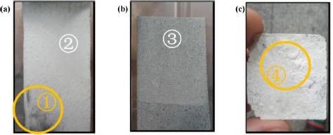 Surface Morphologies Of The Nano Zno Flakes After Hydrothermal Download Scientific Diagram