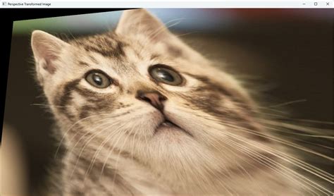 Python Opencvcv2の使い方を解説 Geekblocks