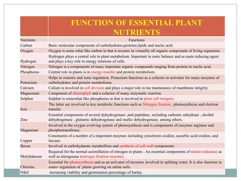 Essential Plant Nutrients Ppt Pptx