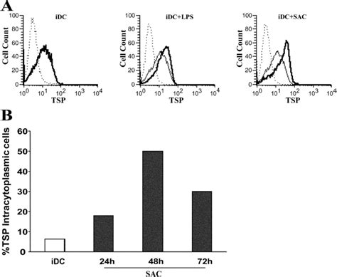 Immature And Mature Dcs Express Tsp 05 × 106ml Monocyte Derived Idcs Download Scientific