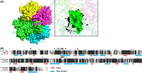 Inferred Essential Amino Acid Residues In Yali0c22088g A Residues