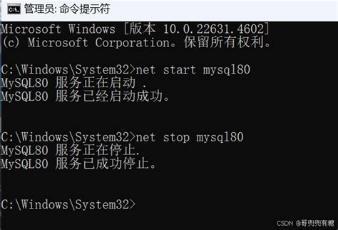day01 【苍穹外卖】环境搭建与前后端联调 d baidunetdiskdownload资料资料day01后端初始工程sky take