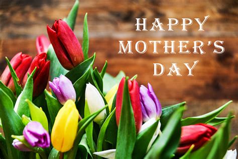 꽃 배경 인사말 카드 수확 어머니의 날 국제 여성의 날 인사말 Mocap 비문에 대 한 천연 나무 배경에 화려한 튤립의 꽃다발 행복 한 어머니날 계절에 대한 스톡 사진 및