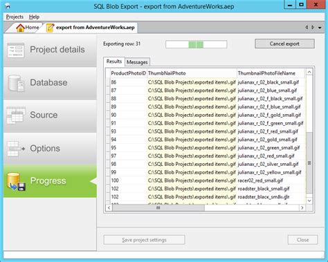 Sql Blob Export Online Help Progress