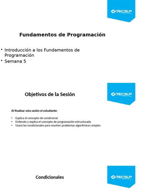 Fundamentos De Programación En Python 5 Pdf Programación De Computadoras Python Lenguaje