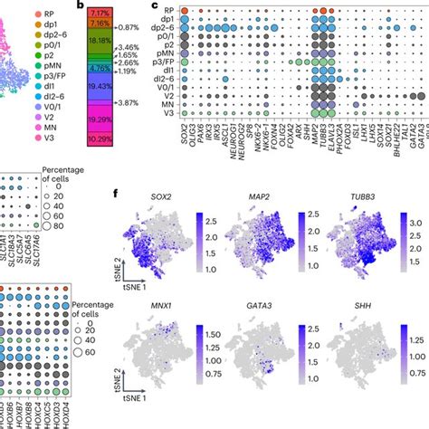Transcriptome Profiling Of Hadsc Organs A T Distributed Stochastic