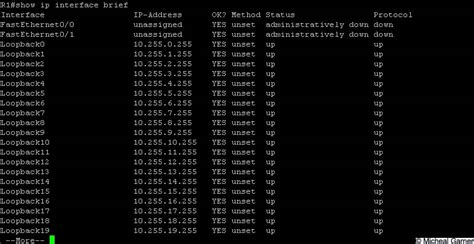 Garners Guides Creating Multiple Loopback Addresses Using A Tcl Script