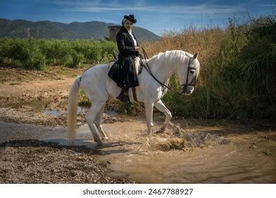 Femme Avec Sex Cheval Photos Images Pictures Shutterstock