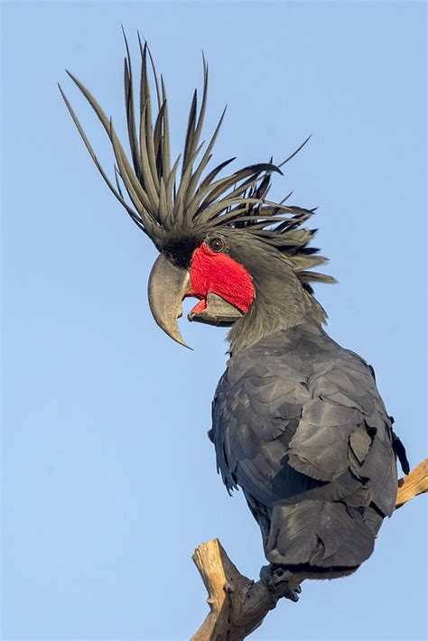 Birdwatching Portland House Holiday Home
