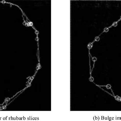 Schematic Diagram Of Contour Detection Results Of Huangyin Slices Download Scientific Diagram