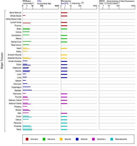 Tmc1 Gene Genecards Tmc1 Protein Tmc1 Antibody