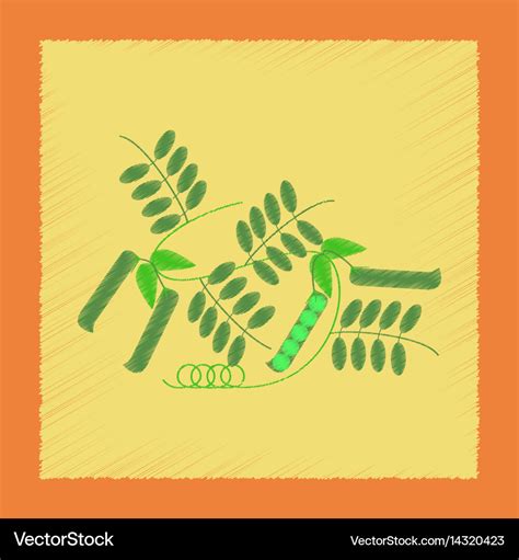 Flat Shading Style Natural Pisum Royalty Free Vector Image