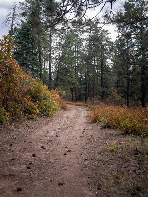 First Notch 3 Colorado Gps Trail Map Conditions And Difficulty Onx Offroad