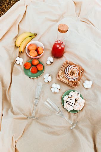 화창한 날에는 야외에서 디저트 케이크 머랭 바나나 과일 샴페인 한 잔 야외에서 붉은 음료 한 병을 곁들인 로맨틱한 피크닉 계곡에 대한 스톡 사진 및 기타 이미지 Istock