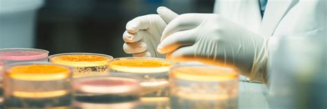 企业介绍 武汉博尔夫生物科技有限公司 专注于生物医学研究和技术服务的高新技术企业