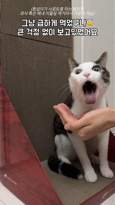 빈 수레가 요란하다 Youtube