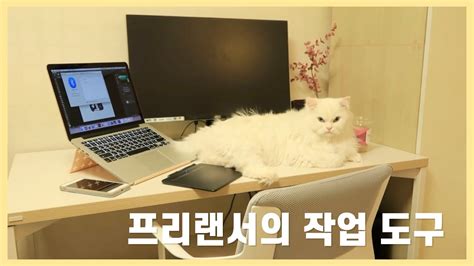 일러스트레이터 프리랜서의 작업실and작업장비🎨 Youtube