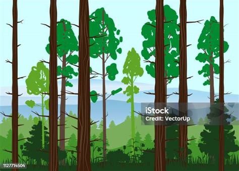 아름 다운 풍경 숲 실루엣의 단풍 나무 줄기 녹색 색상의 봄 파노라마 지평선 자연입니다 벡터 일러스트 레이 션 만화 스타일 절연 배너 템플릿 포스터 카드 공원에 대한 스톡