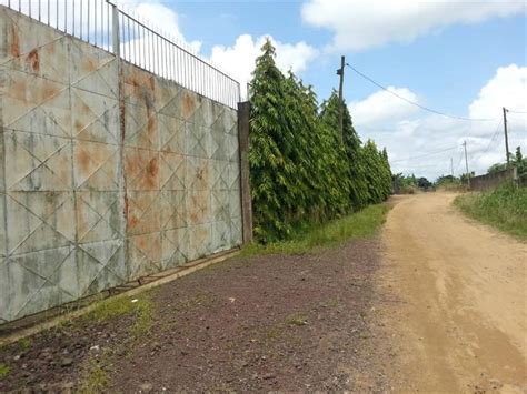 Entrepôt En Vente À Yassa Douala Duplex Triplex Et Immeuble A Vendre