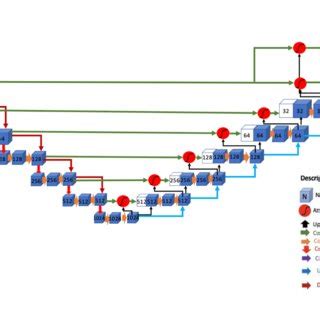 The Neural Network Architecture For Lungs Segmentation V Net With MTL Download Scientific