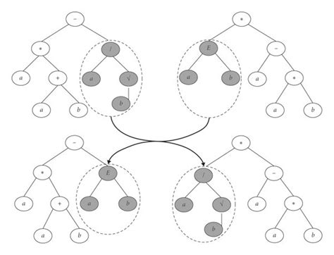 Crossover Example Based On Genetic Programming Download Scientific