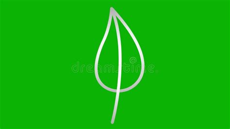 Animated Linear Silver Leaf Icon Of Plant Symbol Is Drawn Gradually Concept Of Organic Food