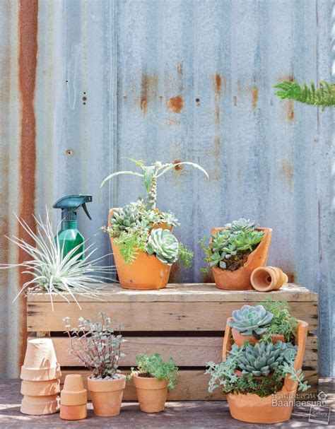 แปลงโฉม กระถาง แตกๆ ให้เป็นสวนกระถางเก๋ บ้านและสวน