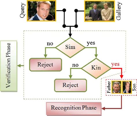 Flowchart To Understand The Difference Between Kinship Verification And Download Scientific