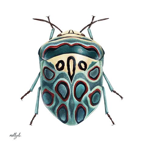 Picasso Bug Digital Print Etsy