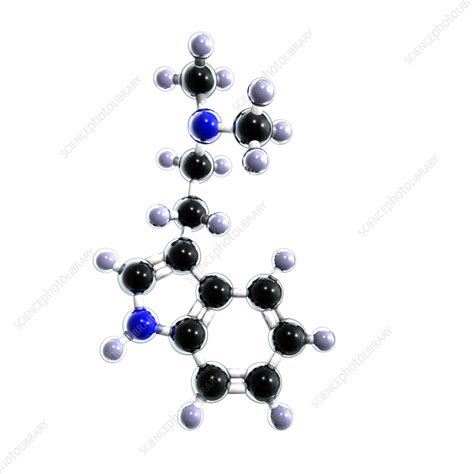 Dimethyltryptamine Psychedelic Drug Molecule Stock Image C056 3922 Science Photo Library