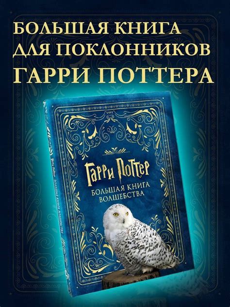 Гарри Поттер Большая книга волшебства купить на Ozon по низкой цене 1541765959