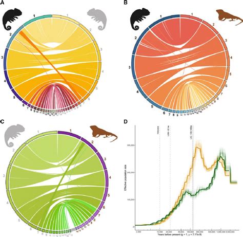 Synteny Circos Plots For Whole Genome Alignment Between A B Pumilum