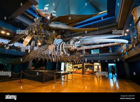 Maritime Museum Santander Bay Santander Cantabria Spain Europe
