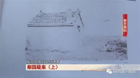 蚌埠六旬老人去女儿家小住 不料梨园遇害！23年后凶手落网凤凰网安徽凤凰网