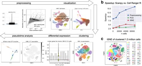 A Scanpys Analysis Features We Use The Example Of 68 579 Peripheral
