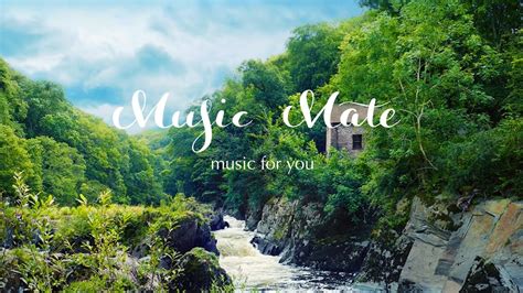 숲속에서 듣는 힐링음악☁마음이 편안해지는 음악 스트레스 해소음악 편안한 휴식음악 Youtube