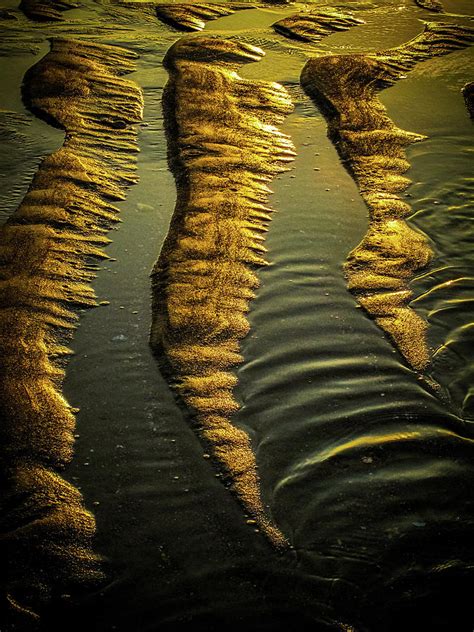 Tidal Pattern Number 2 Photograph By William Hunton Fine Art America