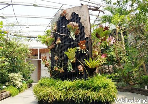 竟然在中山區免費森林系景點台北典藏植物園搶打卡不用日曬雨淋室內森林玻璃屋台北人沒去過太遜 旅遊 WalkerLand窩客島