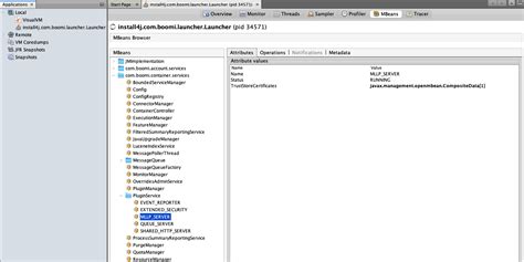 Article How To List The Certificates Used By The Mllp Server Boomi