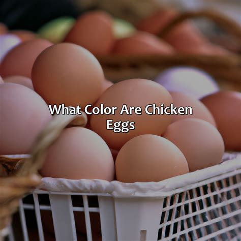 What Is Color Guard Colorscombo Com