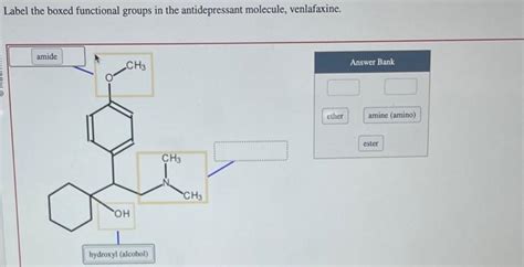 Solved Label The Boxed Functional Groups In The